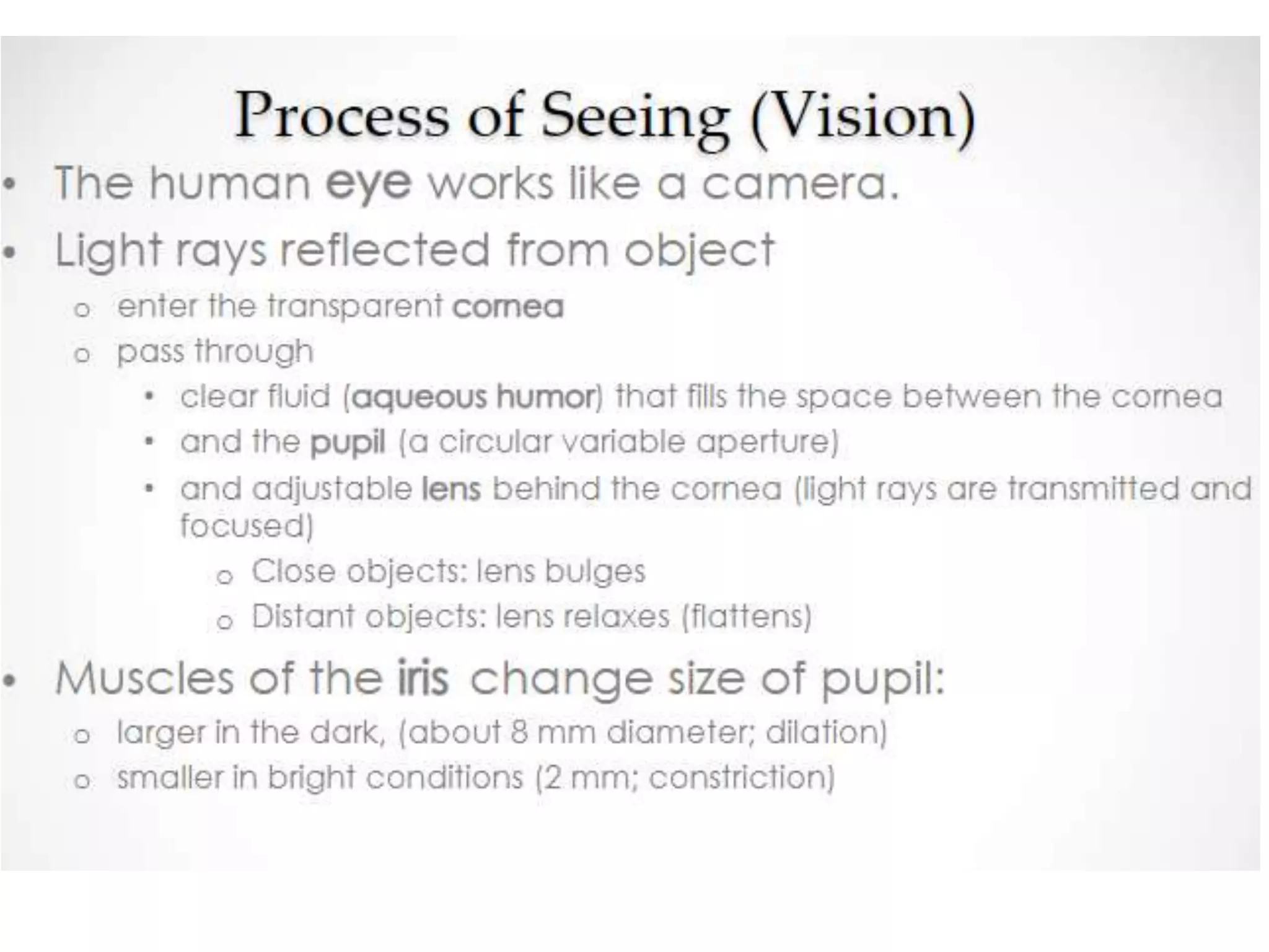 Process of seeing | Visual Capability| Workstation Design | Workplace ...
