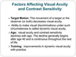 Process of seeing | Visual Capability| Workstation Design | Workplace ...