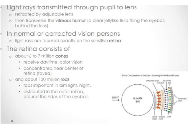 Process of seeing | Visual Capability| Workstation Design | Workplace ...
