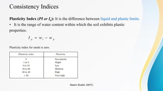Clay Mineralogy & Plasticity Characteristics of Soil | PDF