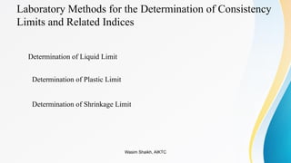 Clay Mineralogy & Plasticity Characteristics of Soil | PDF