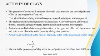 Clay Mineralogy & Plasticity Characteristics of Soil | PDF