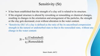 Clay Mineralogy & Plasticity Characteristics of Soil | PDF