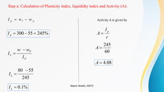 Clay Mineralogy & Plasticity Characteristics of Soil | PDF