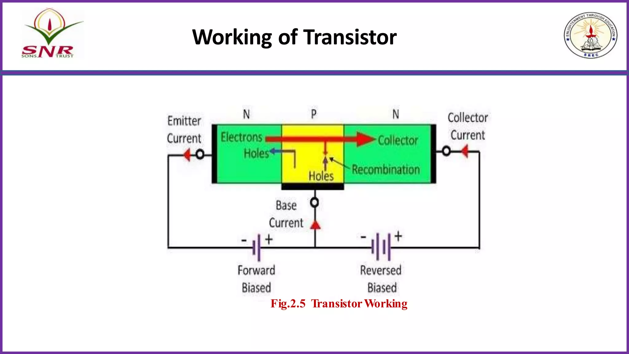 Module II- Part 01.pptx