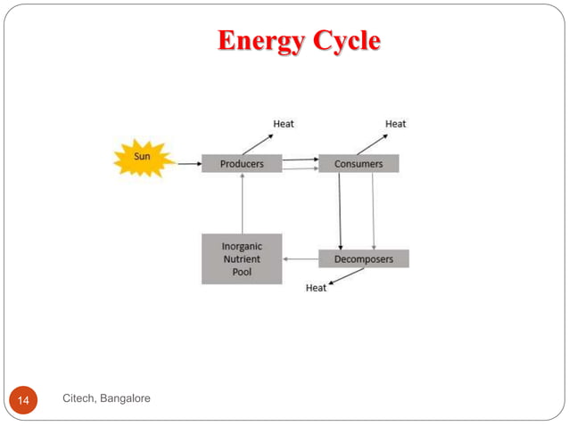MODULE III EE PPT. VTU NOTES 7TH SEM ENGINEERING | PPTX | Science