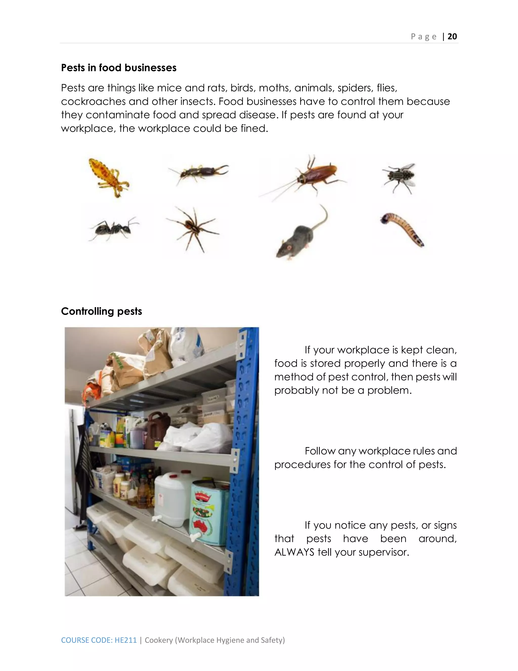 MODULE II PART 1.pdf