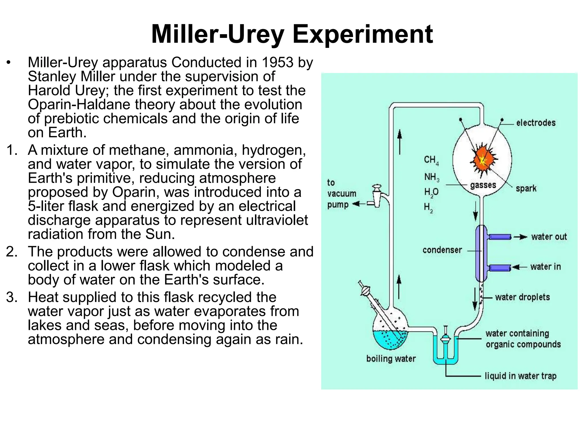 Module I_ Origin_of_life (1) (1).ppt