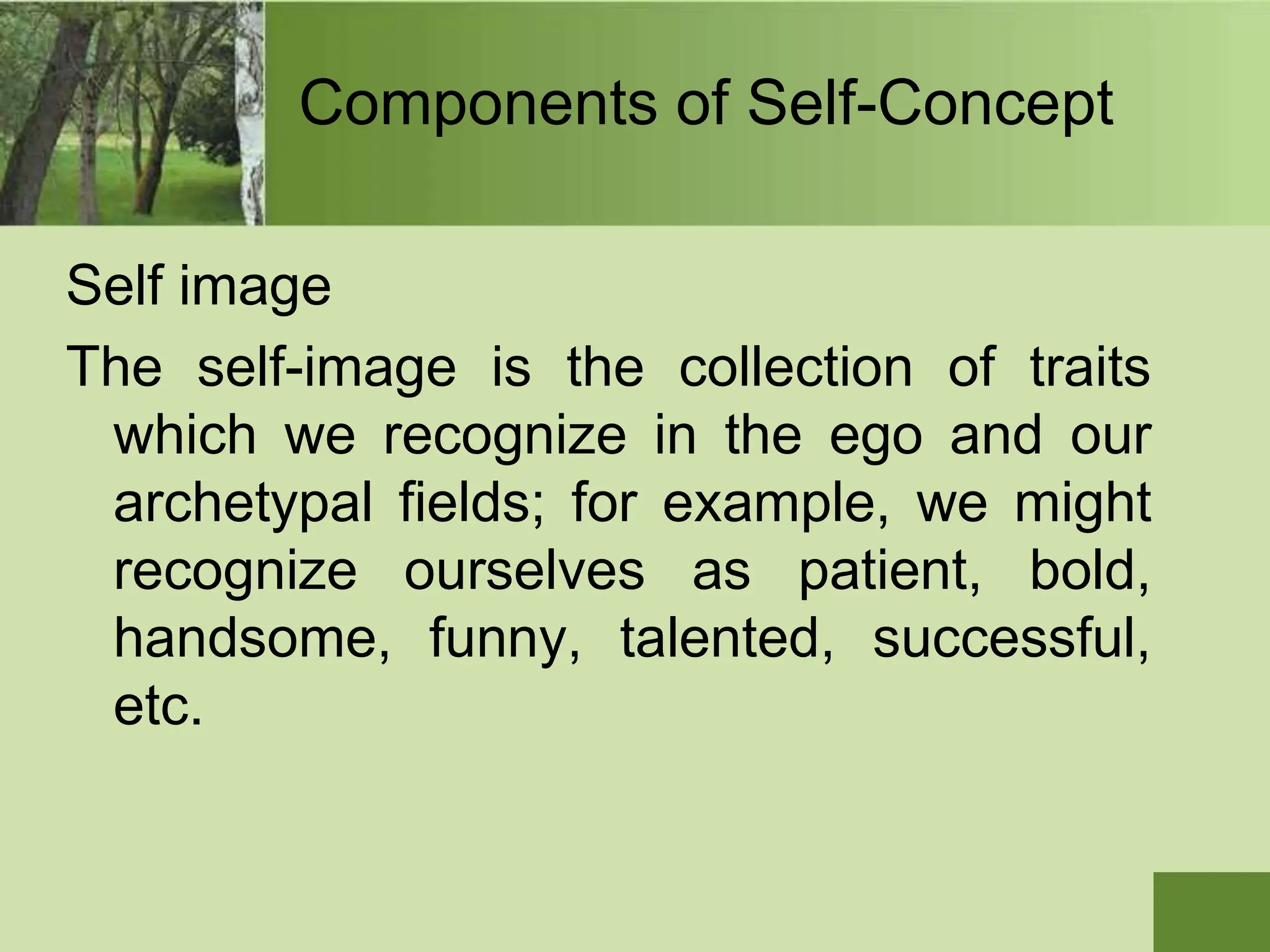 Module I Understanding Self is the PPT . | PPTX