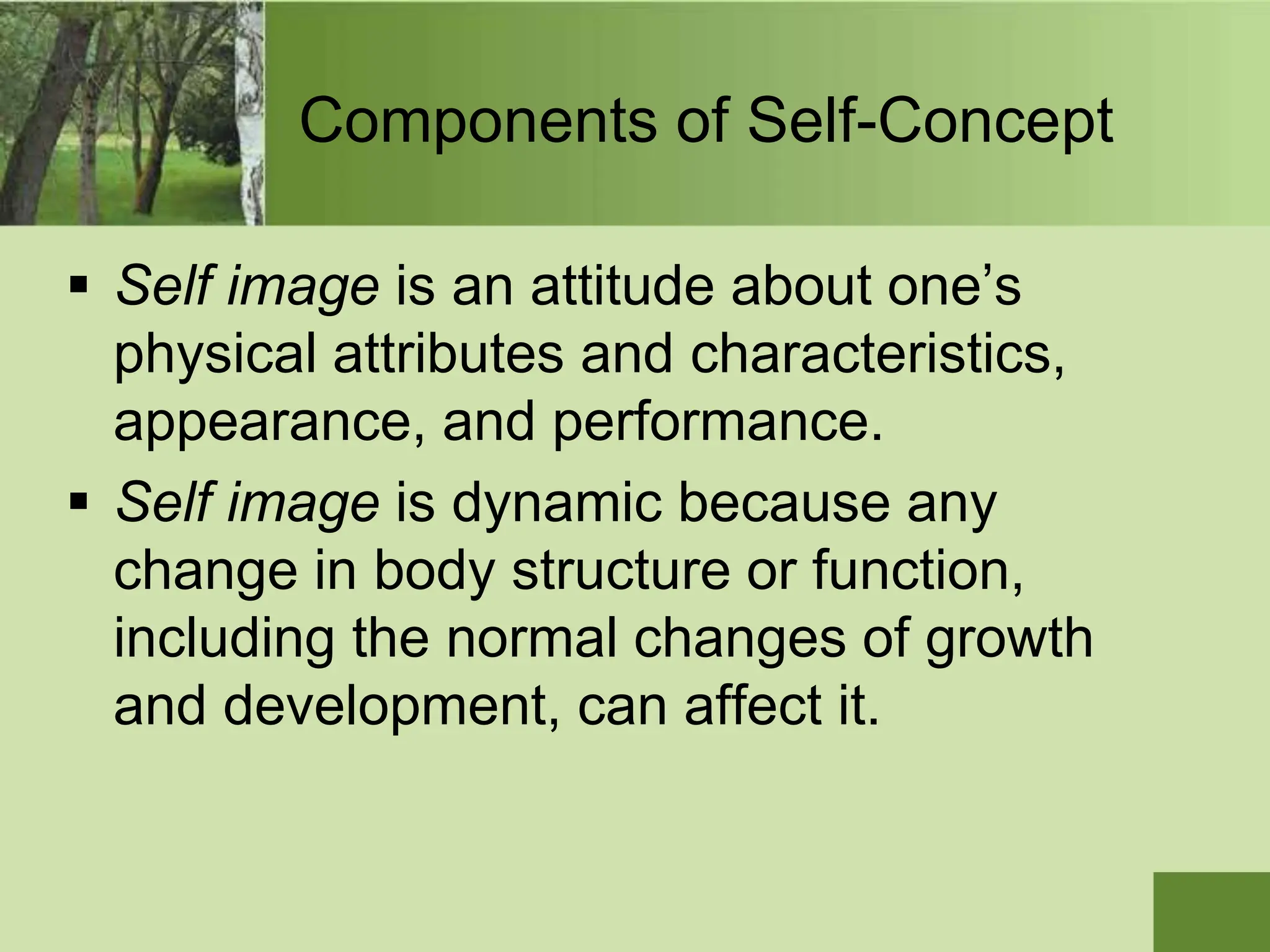 Module I Understanding Self is the PPT . | PPTX