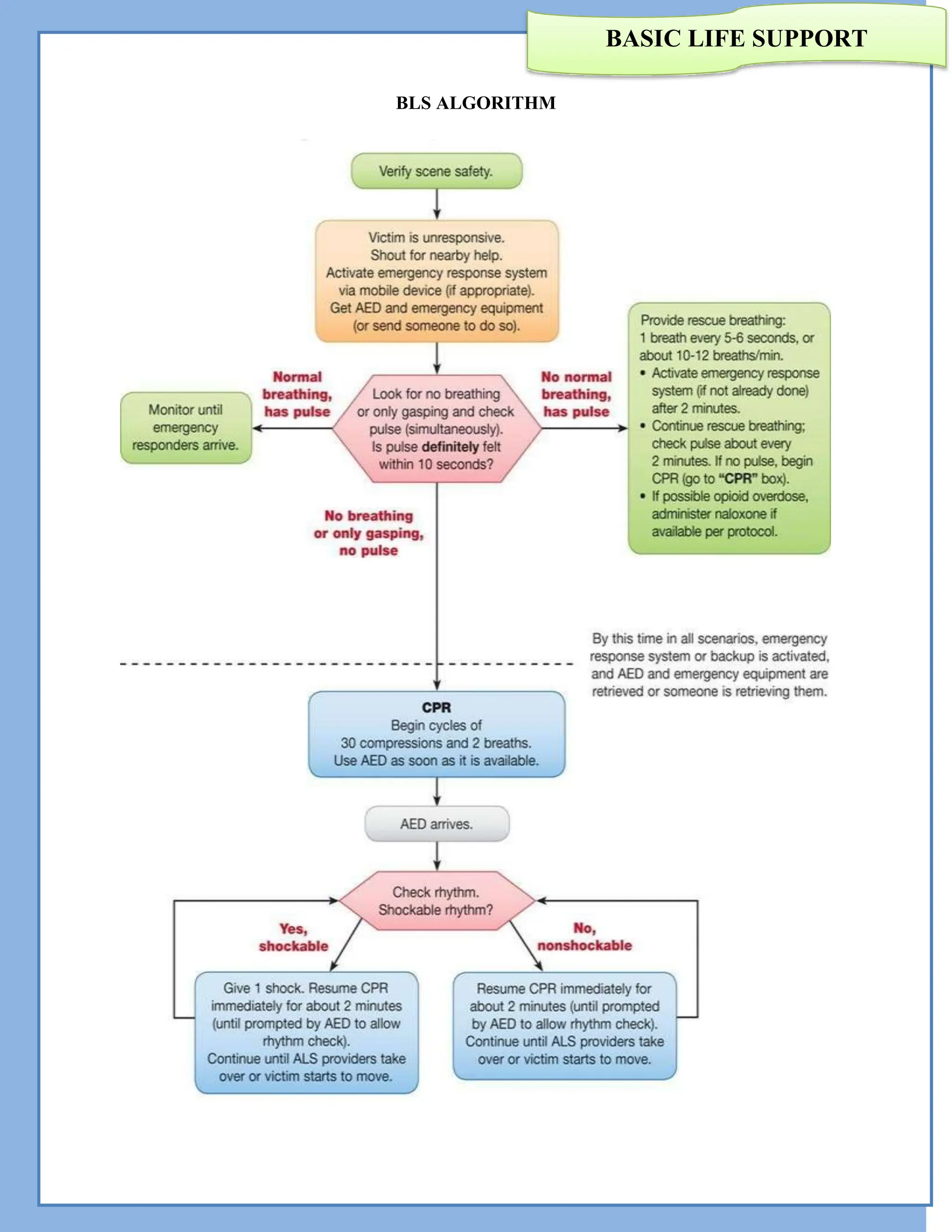 BLS/BASIC LIFE SUPPORT Module ............ | DOCX