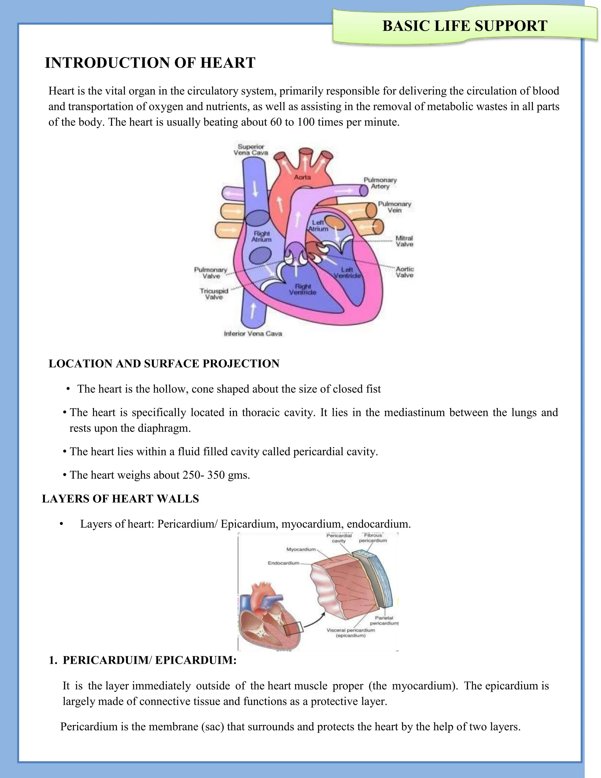 BLS/BASIC LIFE SUPPORT Module ............ | DOCX