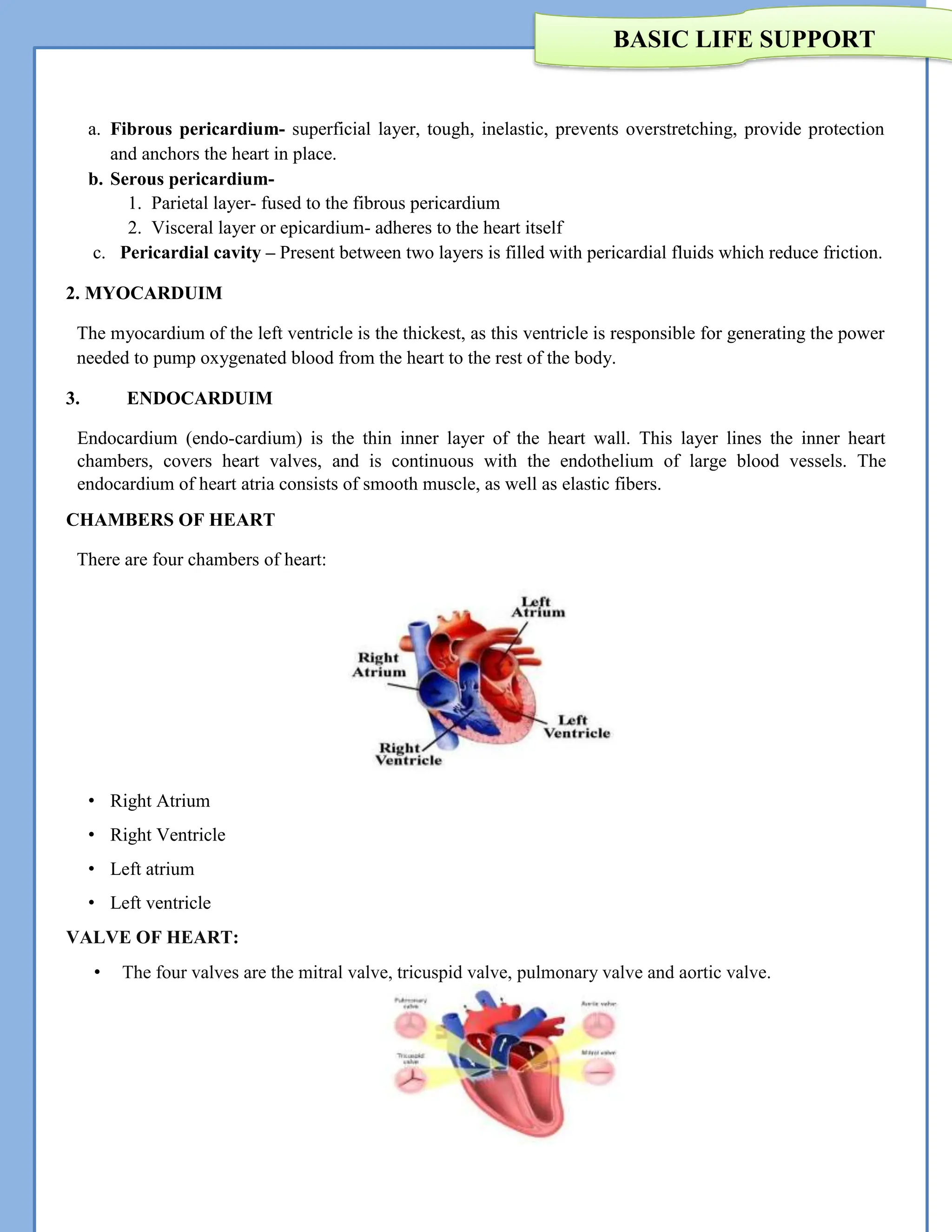 BLS/BASIC LIFE SUPPORT Module ............ | DOCX