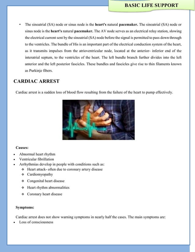 BLS/BASIC LIFE SUPPORT Module ............ | DOCX | Heart and ...