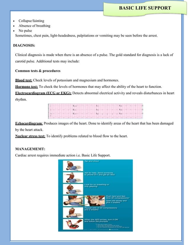 BLS/BASIC LIFE SUPPORT Module ............ | DOCX | Heart and ...