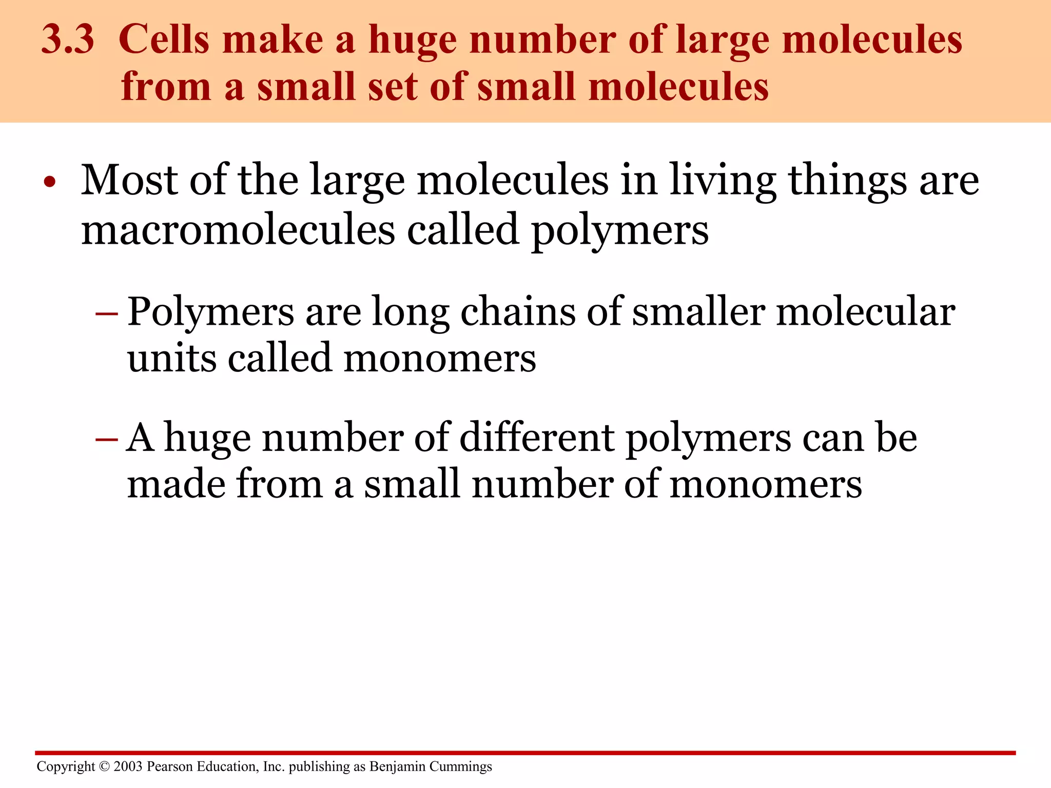 Carbohydrates, Proteins, Lipids and Nucleic Acids | PPT