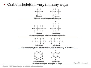 Carbohydrates, Proteins, Lipids and Nucleic Acids | PPT