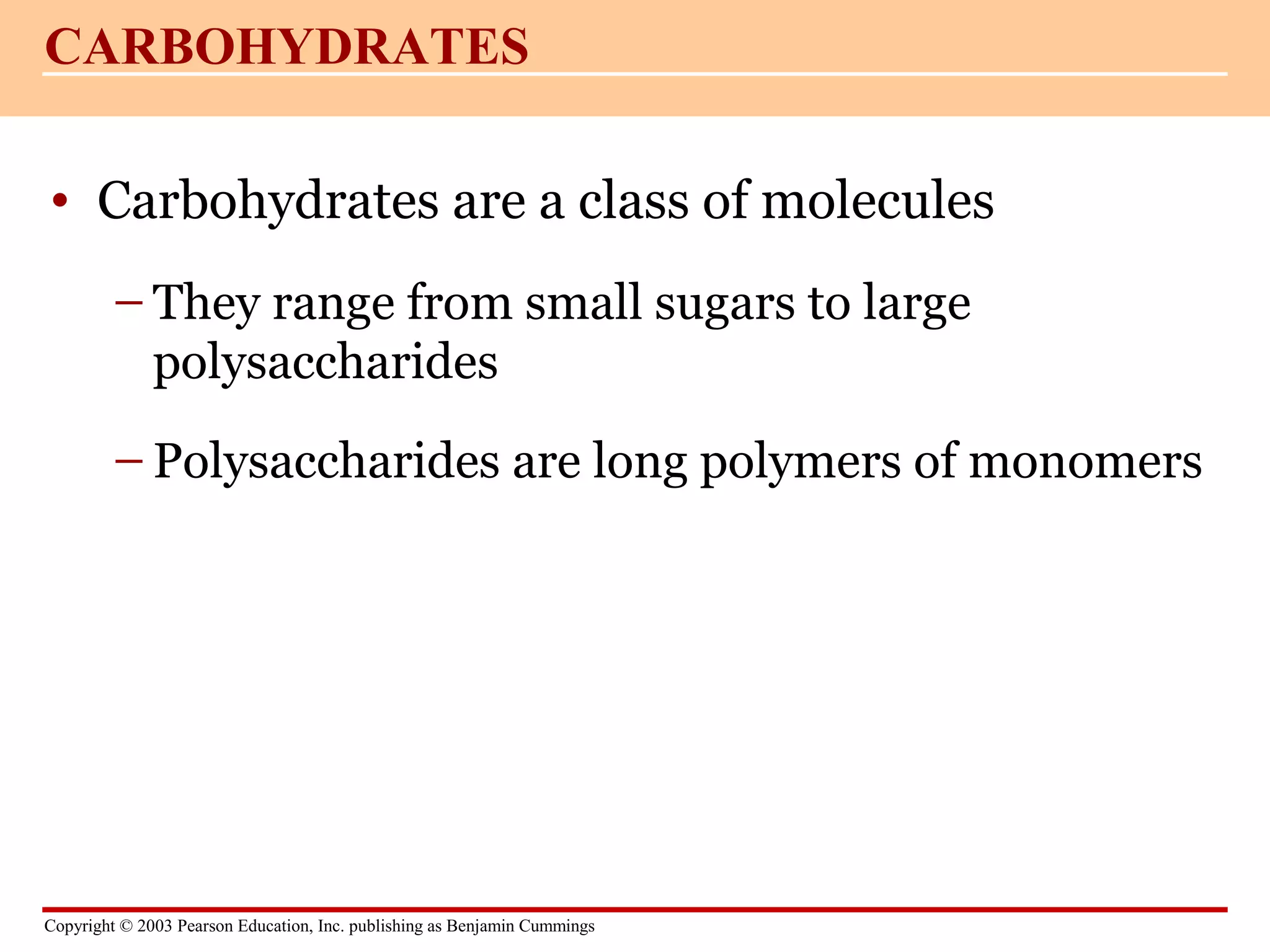 Carbohydrates, Proteins, Lipids and Nucleic Acids | PPT