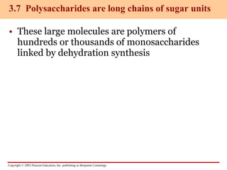 Carbohydrates, Proteins, Lipids and Nucleic Acids | PPT