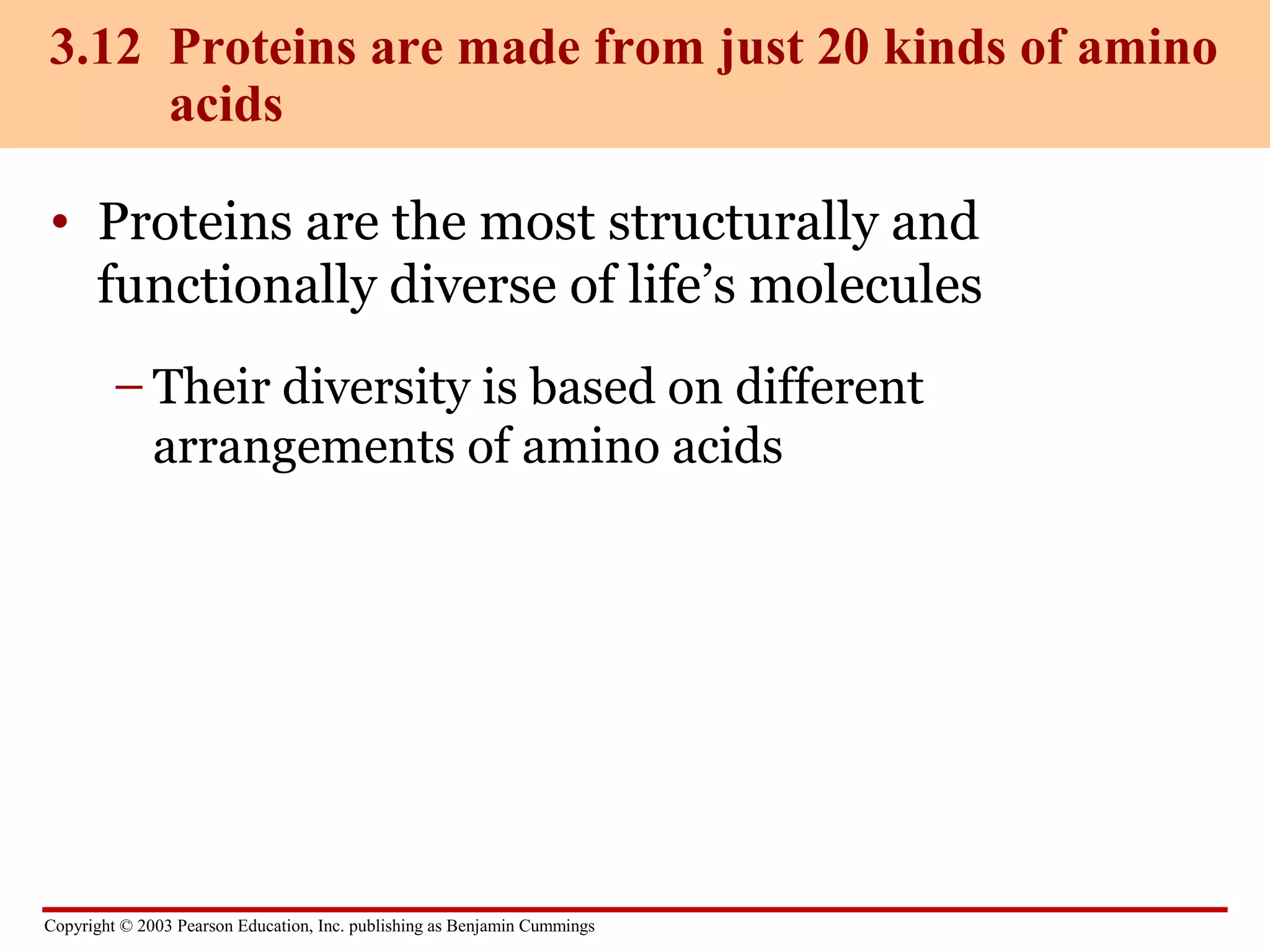 Carbohydrates, Proteins, Lipids and Nucleic Acids | PPT