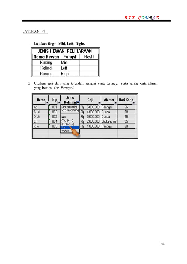 Modul excel btz | PDF