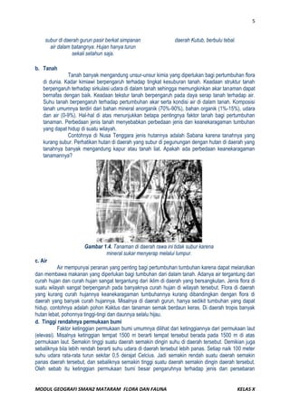 Modul geografi flora dan fauna | DOCX