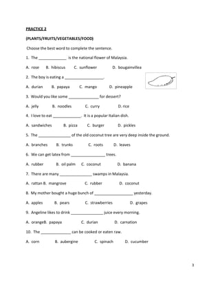 Modul gerak gempur BI UPSR | PDF
