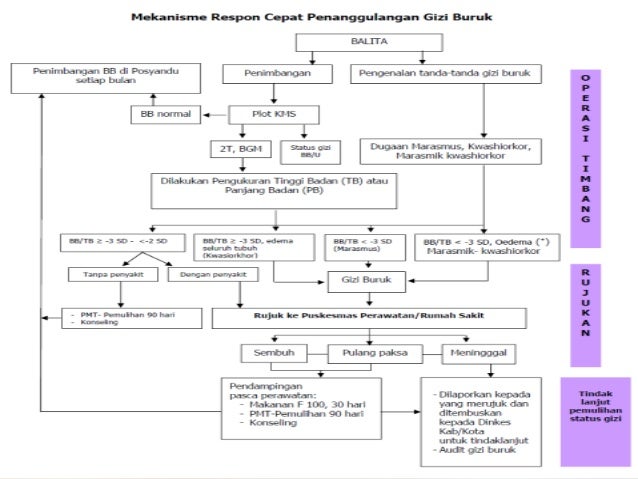 Malnutrisi Energi dan Protein Geriatri