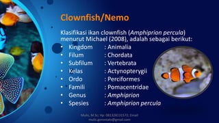 Modul i jenis ikan hias dan pengembangannya | PPTX