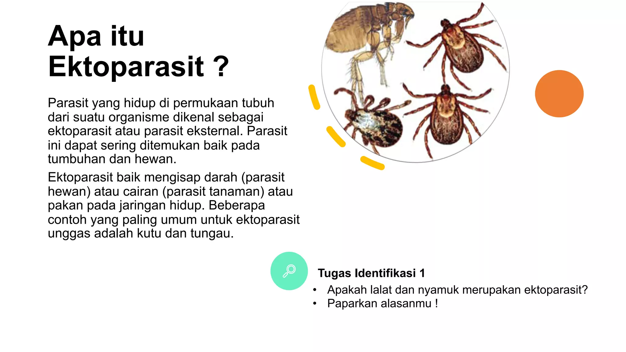 MODUL INTERAKTIF - EKTOPARASIT.pdf