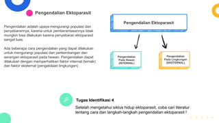 MODUL INTERAKTIF - EKTOPARASIT.pdf