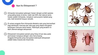 MODUL INTERAKTIF - EKTOPARASIT.pdf