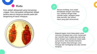 MODUL INTERAKTIF - EKTOPARASIT.pdf