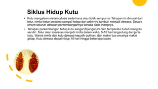 MODUL INTERAKTIF - EKTOPARASIT.pdf