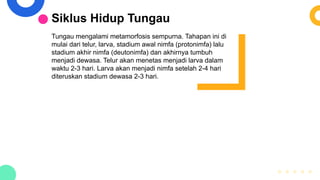 MODUL INTERAKTIF - EKTOPARASIT.pdf