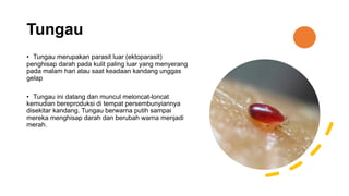 MODUL INTERAKTIF - EKTOPARASIT.pdf