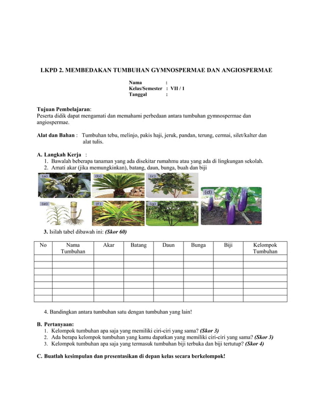 MODUL PEMBELAJARAN ILMU PENGETAHUAN ALAM (IPA) | PDF