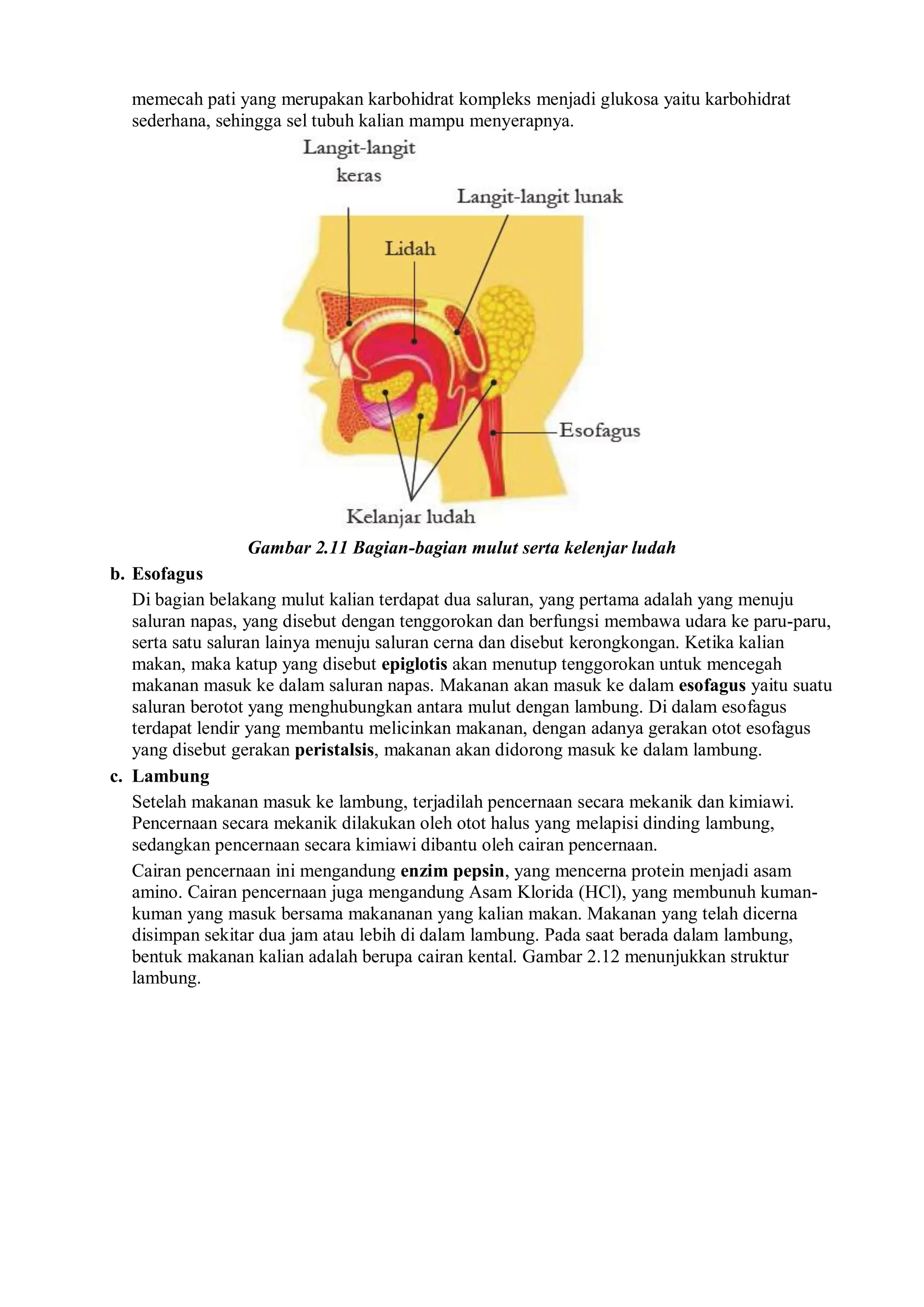 Modul IPA 8 - Bab 2 kurikulum merdeka belajar | PDF