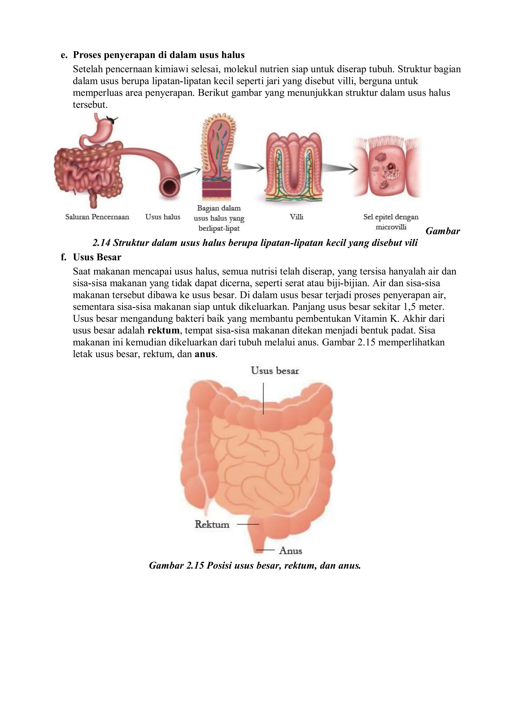 Modul IPA 8 - Bab 2 kurikulum merdeka belajar | PDF