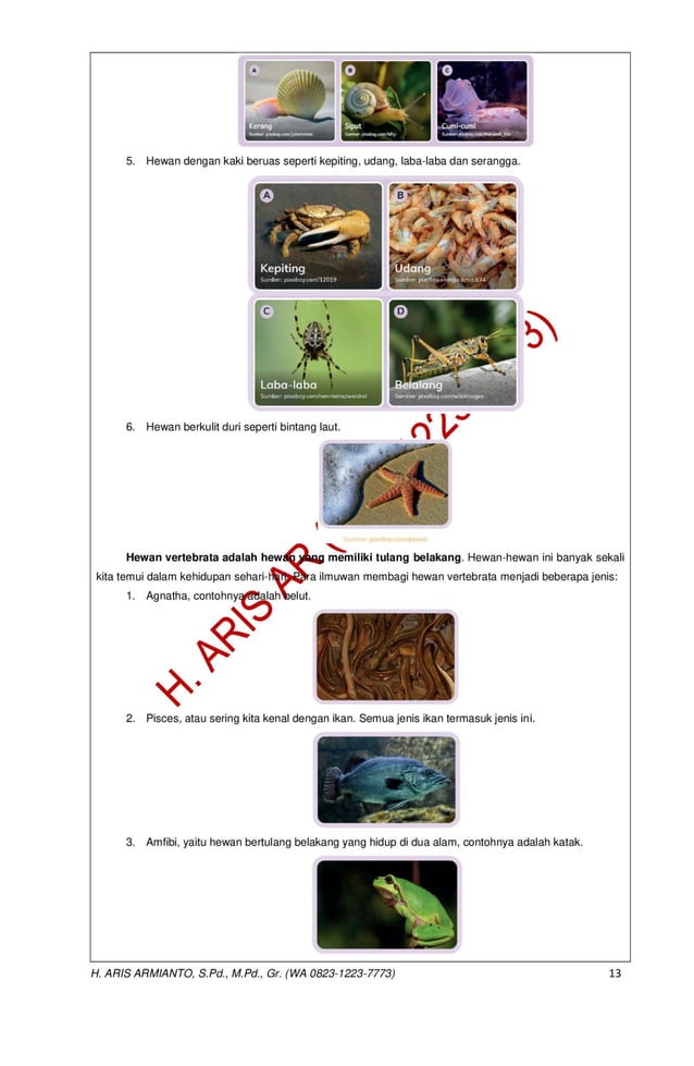 MODUL AJAR DEEP LEARNING IPAS KELAS 3 CP 032 REVISI 2025 KURIKULUM MERDEKA.pdf