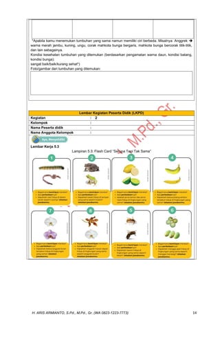MODUL AJAR IPAS KELAS 4 REVISI TERBARU CP 032 KURIKULUM MERDEKA SEMESTER 1 DAN 2.pdf