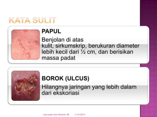 Luka alat kelamin uronefrologi | PPTX