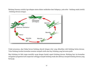 SUHARNI 193010212004 Modul kelas 4 SD Tema 6 Subtema 1 | PPT