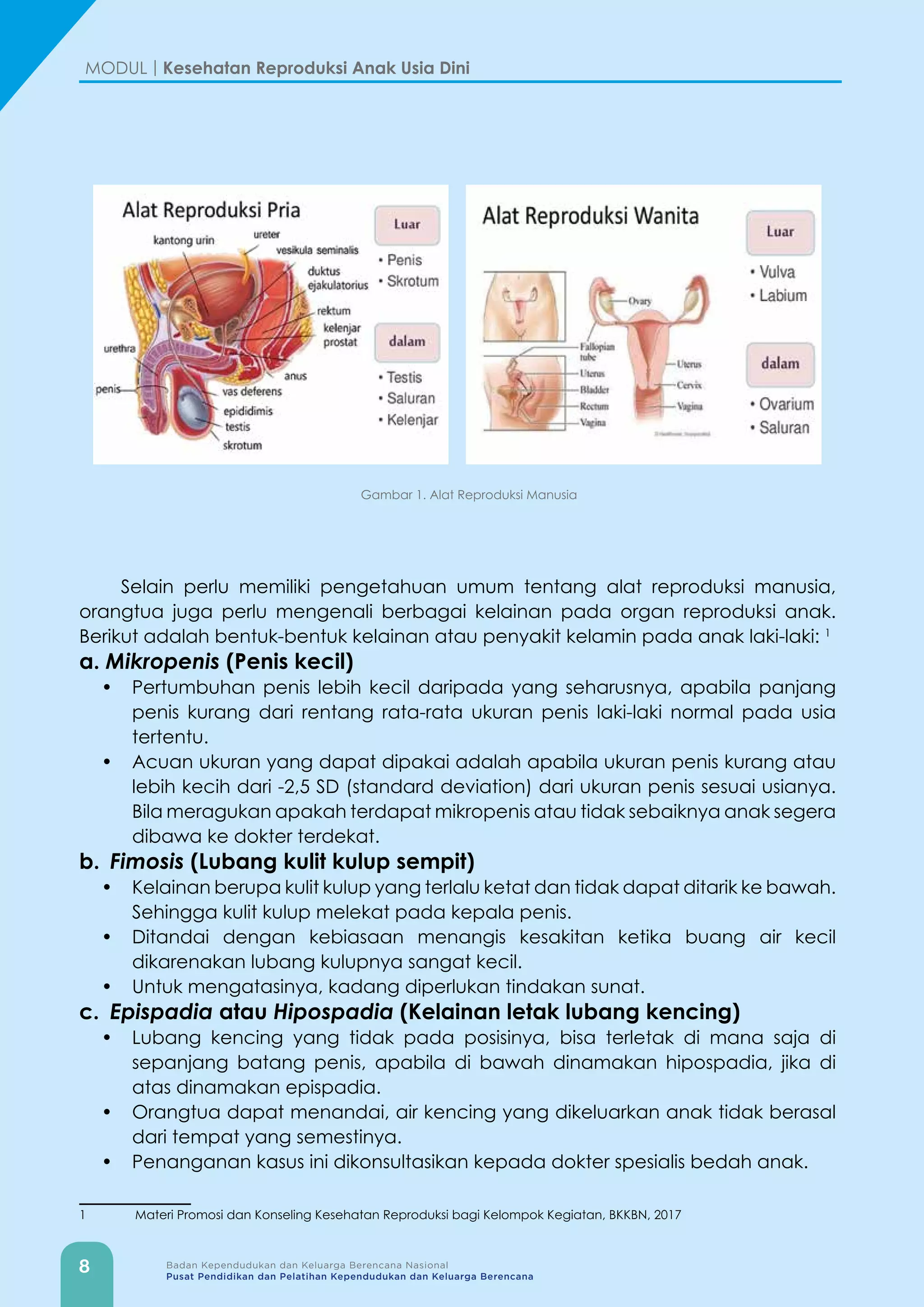 Modul kesehatan reproduksi anak usia dini bkkbn rev4 | PDF