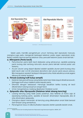 Modul kesehatan reproduksi anak usia dini bkkbn rev4 | PDF