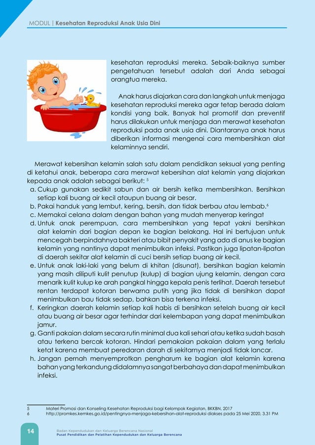 Modul kesehatan reproduksi anak usia dini bkkbn rev4 | PDF
