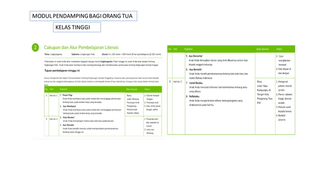 MODUL LITERASI SD.pdf