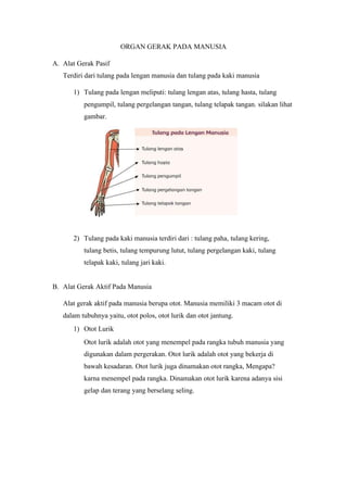 Modul Organ Gerak Pada Manusia | PDF