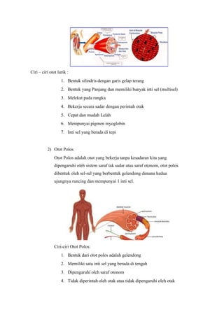 Modul Organ Gerak Pada Manusia | PDF