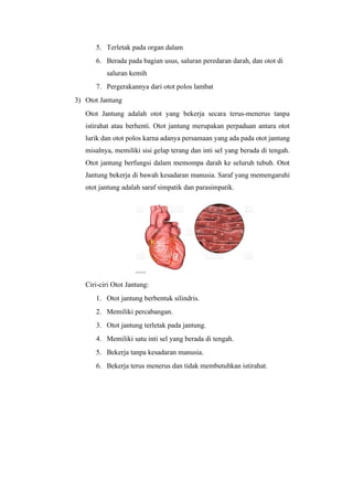 Modul Organ Gerak Pada Manusia | PDF